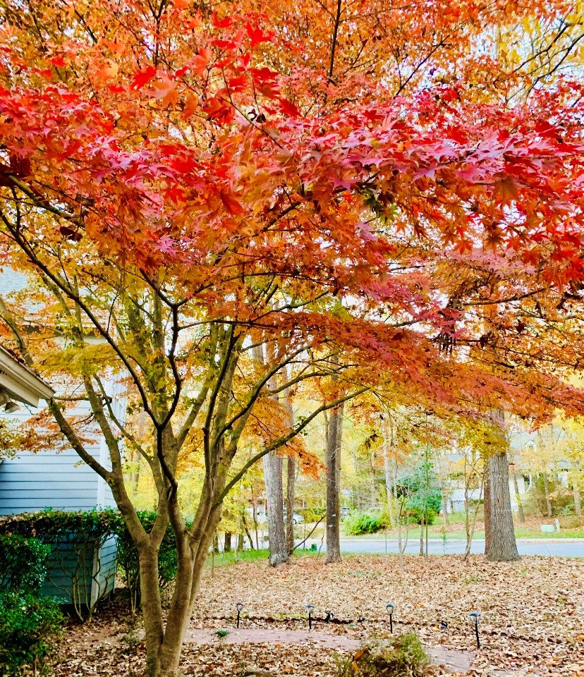 This is the Beginning. – glorious ruins